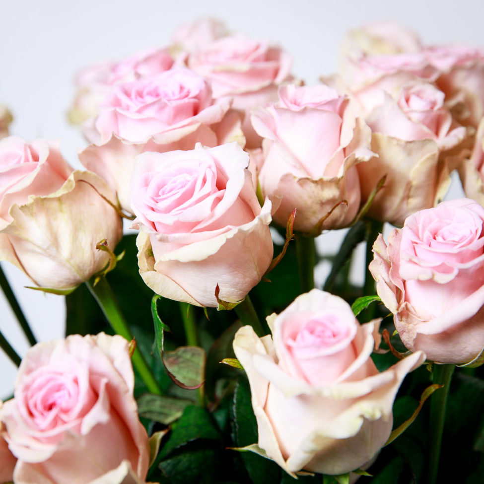 Pont de Chailly Fleurs I Artisan Fleuriste Lausanne I Livraison