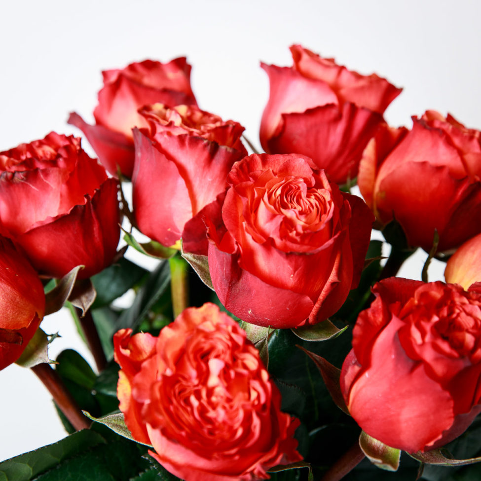 Pont de Chailly Fleurs I Artisan Fleuriste Lausanne I Livraison